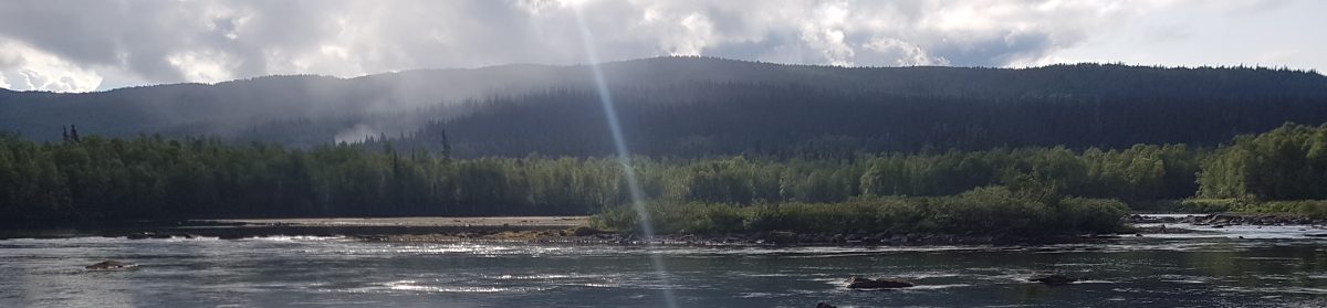 Learn – Visual MINTEQ