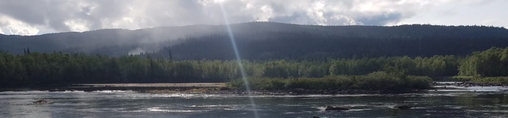 Learn – Visual MINTEQ